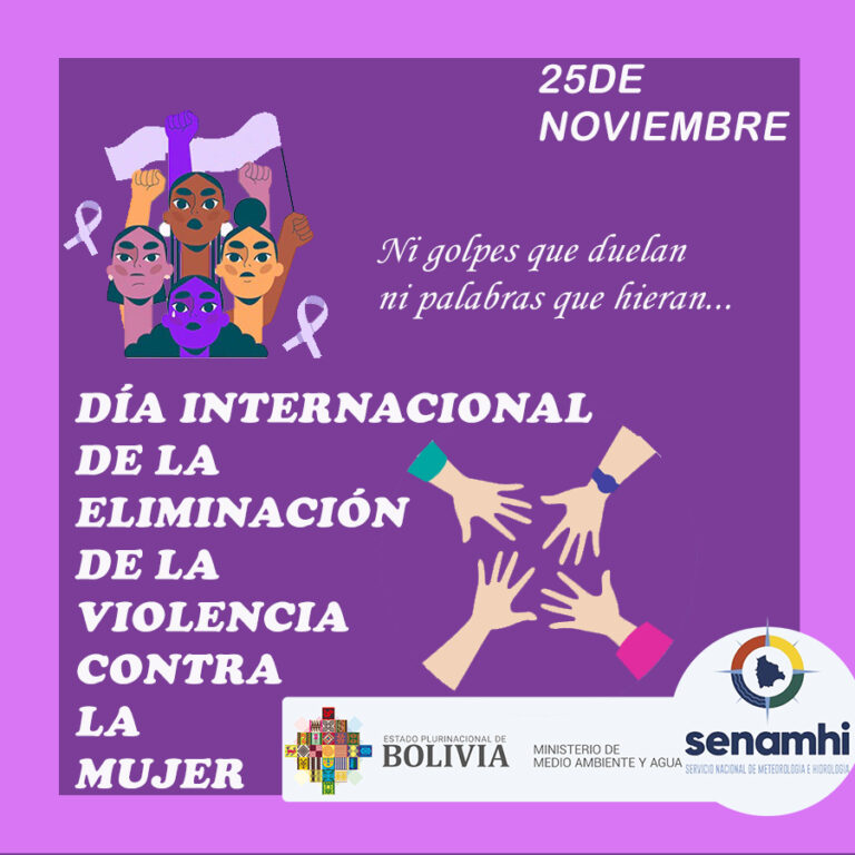 DÍA INTERNACIONAL DE LA ELIMINACIÓN DE LA VIOLENCIA CONTRA LA MUJER – NOTICIAS SENAMHI