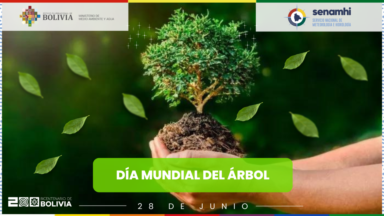 DÍA MUNDIAL DEL ÁRBOL 28 DE JUNIO – NOTICIAS SENAMHI
